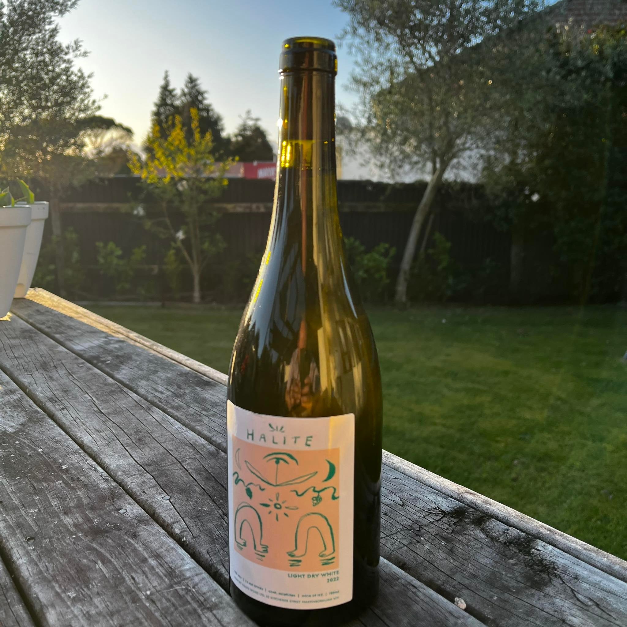 2022 Halite Wines Light Dry White – Cult Wine