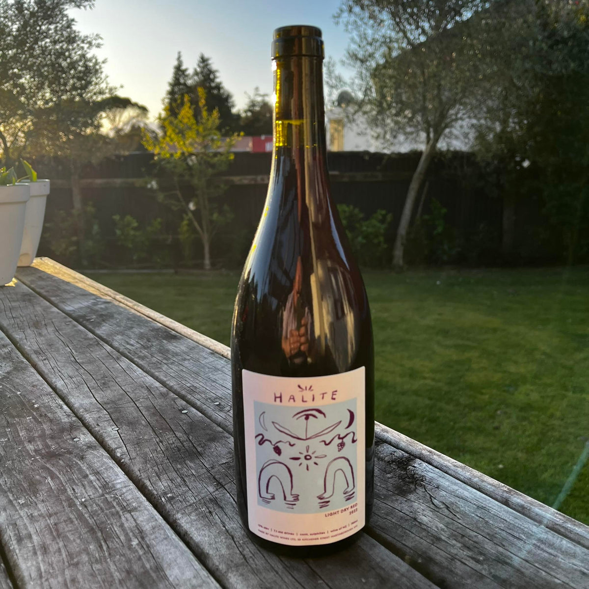 2022 Halite Light Dry Red – Cult Wine
